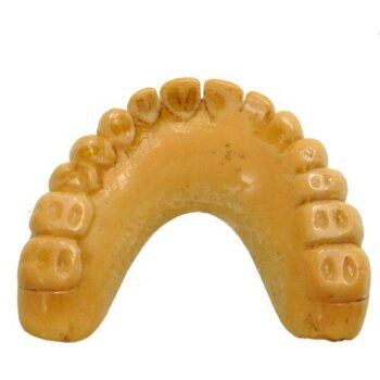 Miniature Ivory denture - Van Leest Antiques