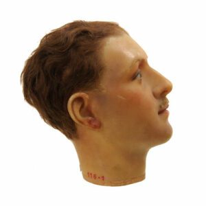 Wax head model - Van Leest Antiques