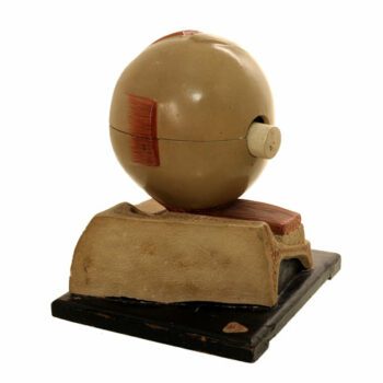 Somso eye model, c 1920 - Van Leest Antiques