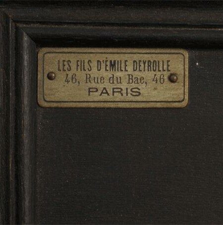 Anatomical sagitale eye model by deyrolle c 1920 - Van Leest Antiques