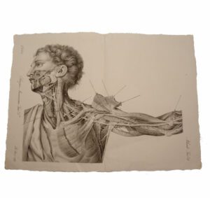 Two lithographs of antonio scarpa 1830 - Van Leest Antiques