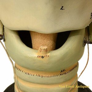 Anatomical Larynx Vocal cords model, functional