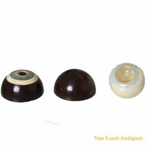 Somso anatomical eye model Somso anatomical eye model