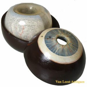 Somso anatomical eye model Somso anatomical eye model