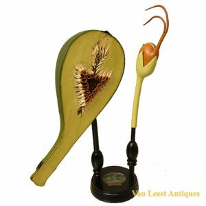 Brendel anatomical fig tree model, Ficus carica