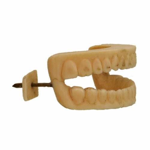 Mininatuur Ivory denture model Mininatuur Ivory denture model