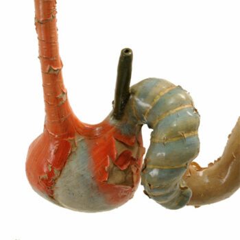 Dr. Auzoux digestive tract of the octopus - Van Leest Antiques