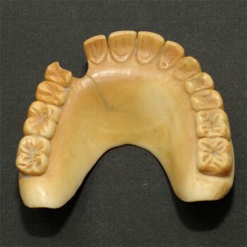 Five half sets of artificial teeth, 19th century - Van Leest Antiques