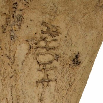 Hottentote Venus - Steatopygie model