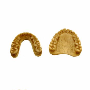 Miniature Ivory denture - Van Leest Antiques - The best antiques in Holland